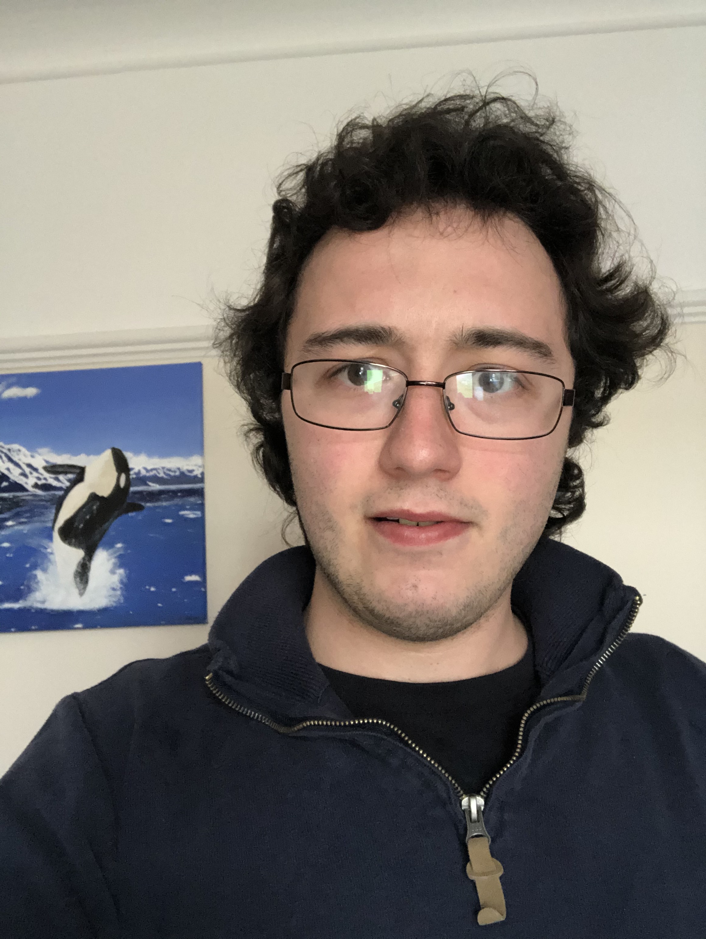 Shark on a train – Our world under the waves